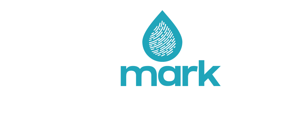Beyond the Mark 2026 - Lasting Mark